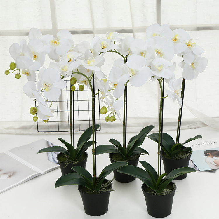 Single real touch orchid with pot | wholesale artificial flowers
