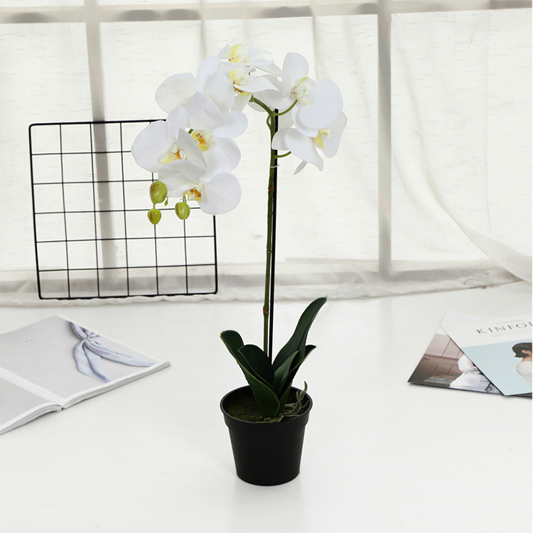 Single real touch orchid with pot | wholesale artificial flowers